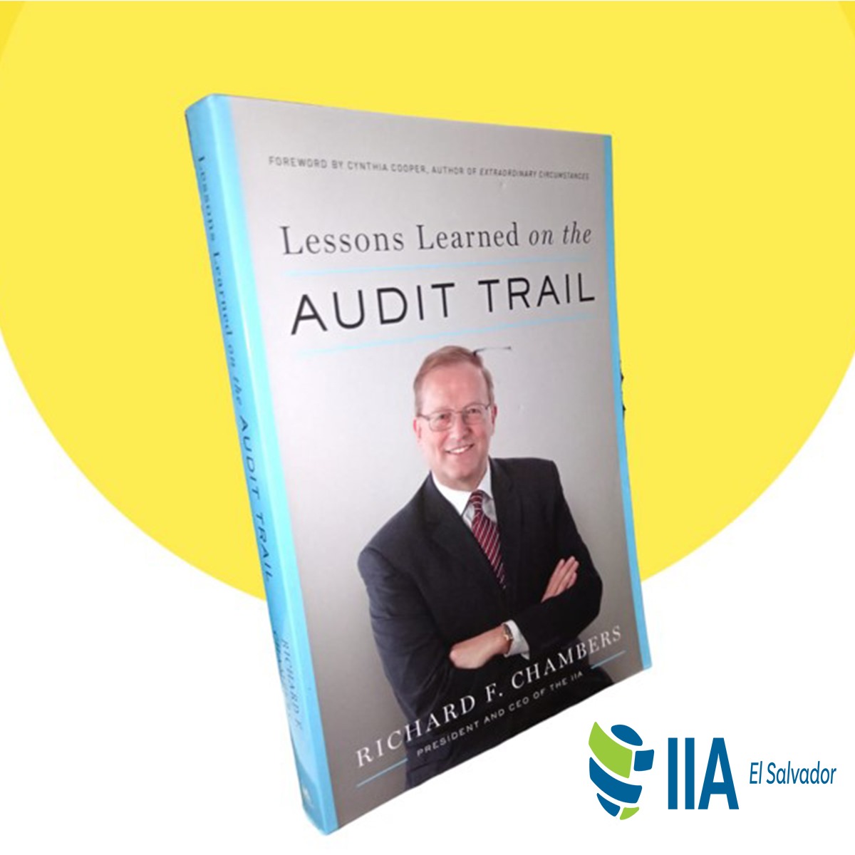 Lessons Learned on the AUDIT TRAIL - INSTITUTO DE AUDITORES INTERNOS DE ...
